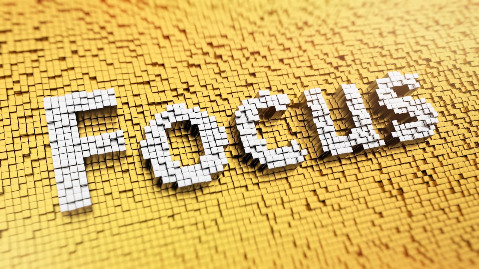 About - Team Focus PLUS